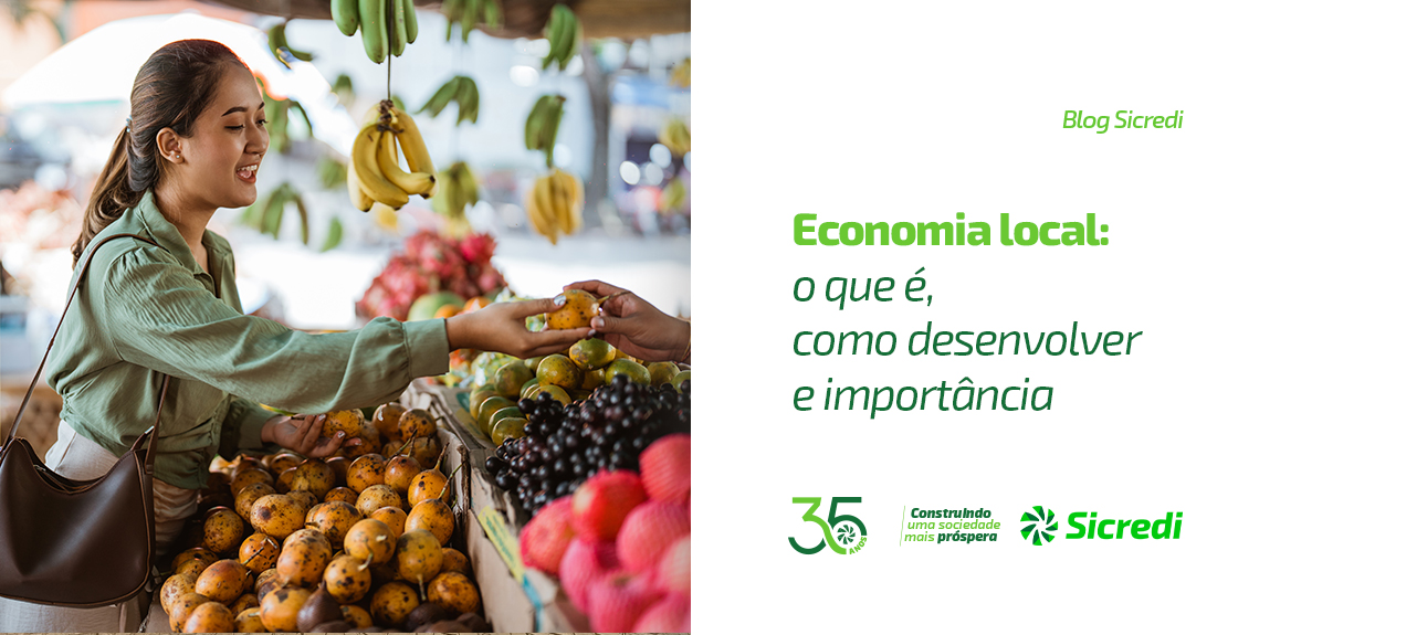 Economia local: o que é, como desenvolver e importância