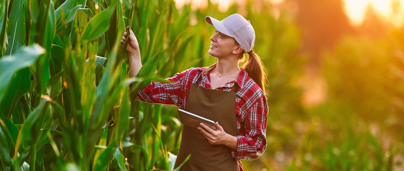 Cédula de Produto Rural: o que é, benefícios e como pode ajudar seu ...